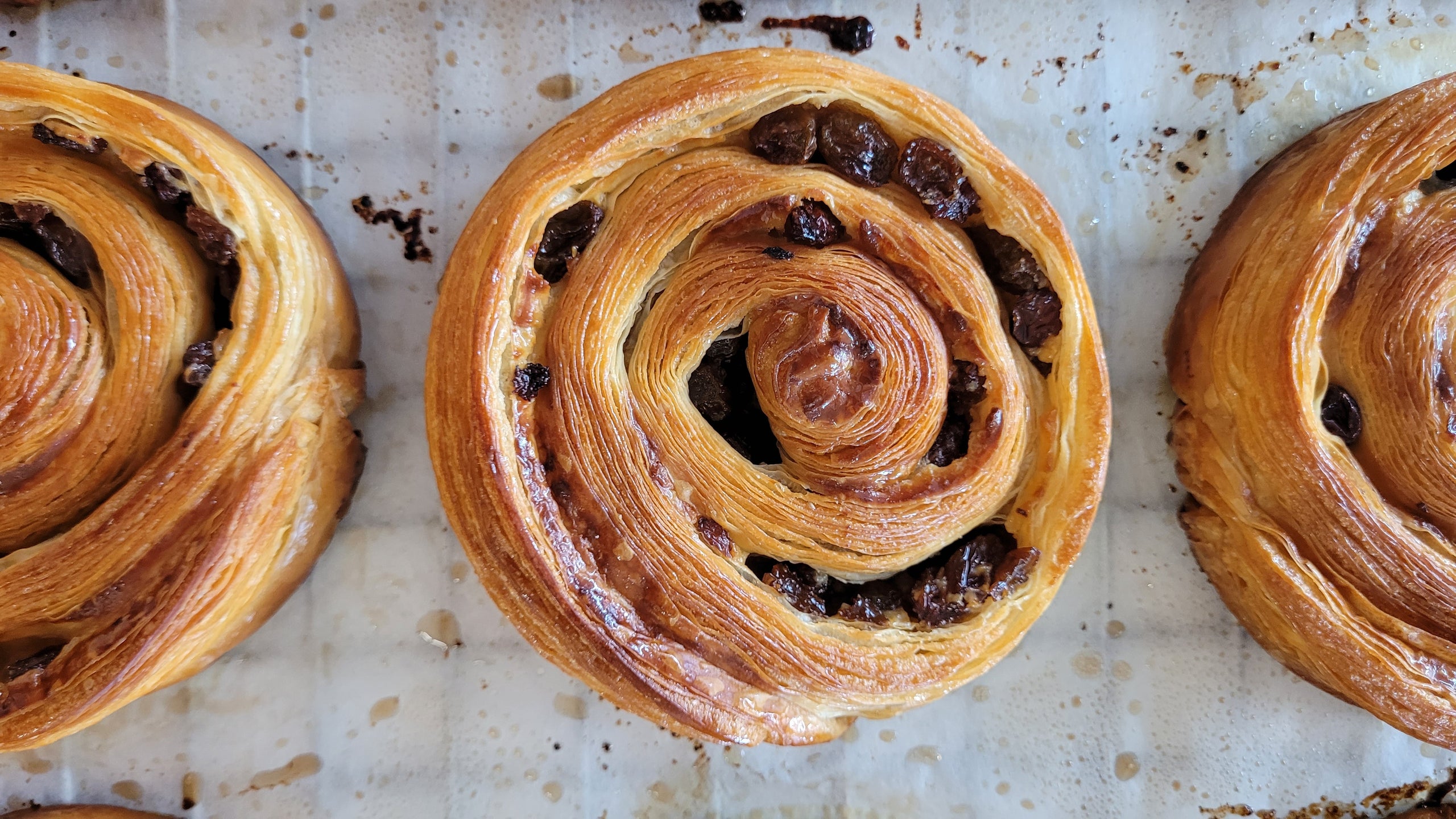 Escargot - Pain aux raisins | Escargot Bakery